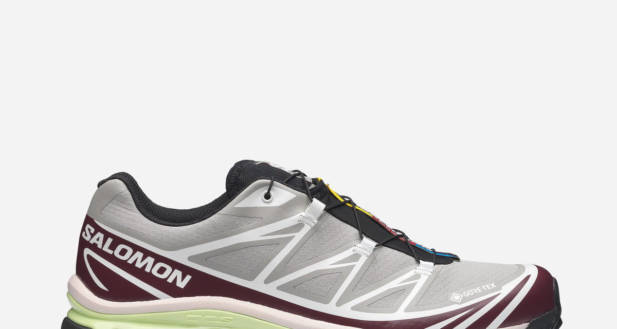 Salomon XT-6 Gore-tex Paloma/Maroon/Butterfly L47991600